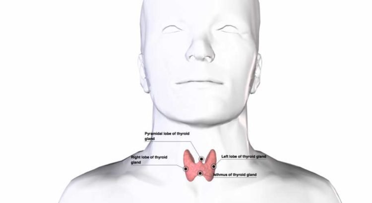 QUISTE PILONIDAL – Cirugía Sin Fronteras CSF